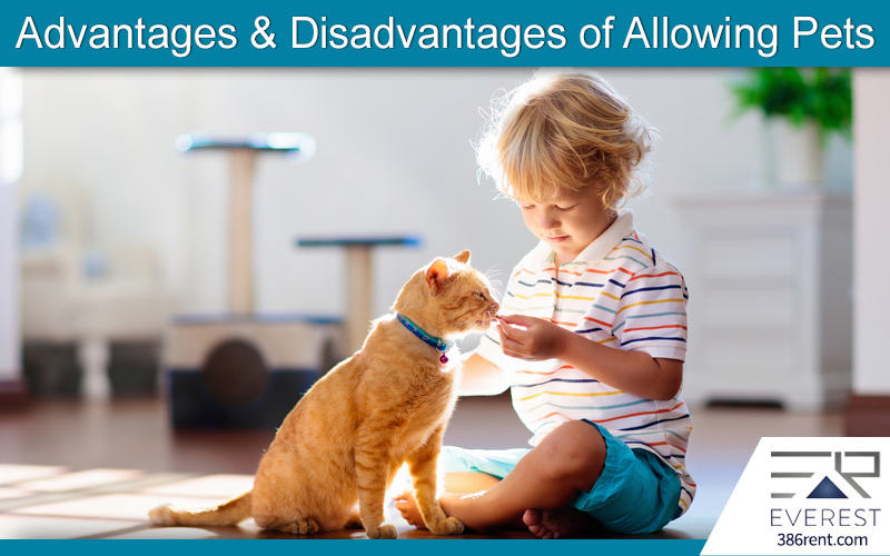 Advantages & Disadvantages of Allowing Pets